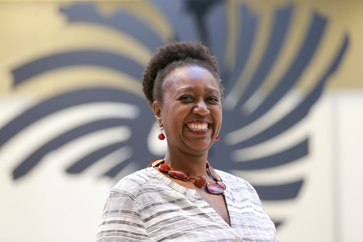 Conferência Nacional de Promoção da Igualdade Racial terá 5ª edição em ...